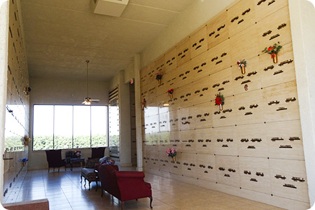 How Much Does It Cost To Be Buried In A Wall | Psoriasisguru.com